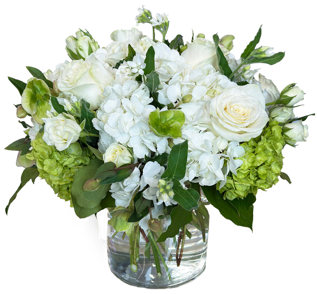 Elegance – Lane Florist