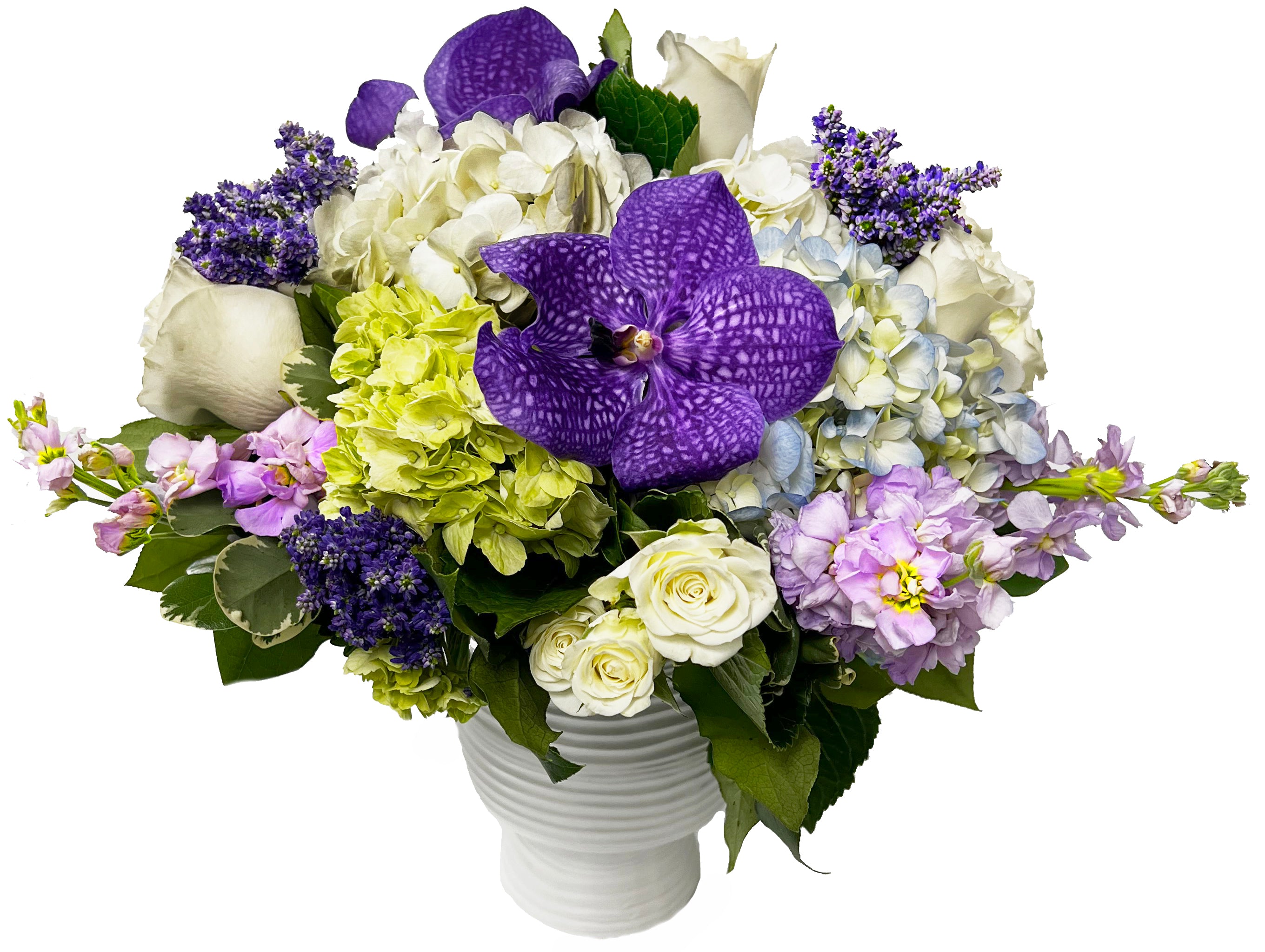 Purple Whisper – Lane Florist