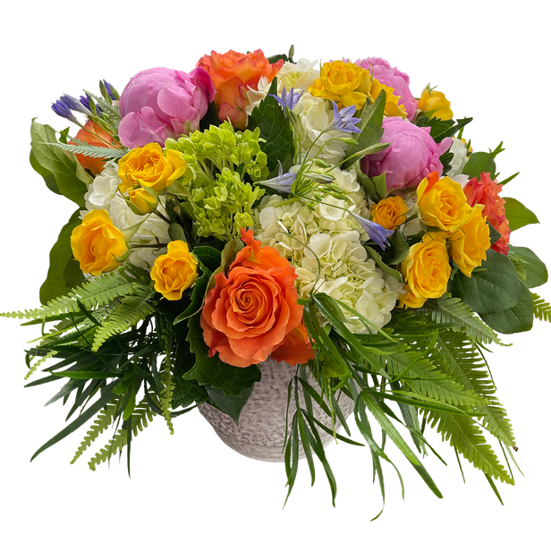 Collections – Lane Florist