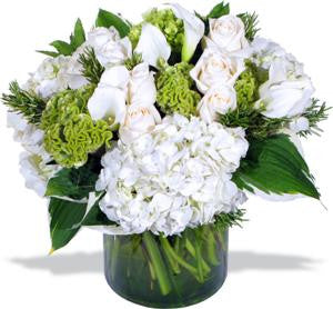 Lane Florist -Voted Best Florist 214.363.1637 Dallas University Knox